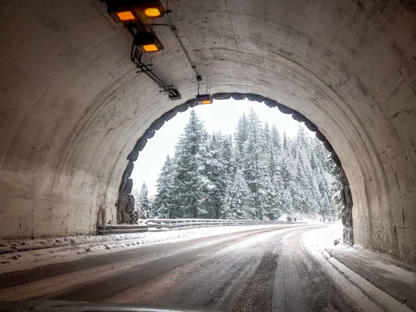 McCredie Hot Springs - How to Get There & What to Expect - Go Wander Wild