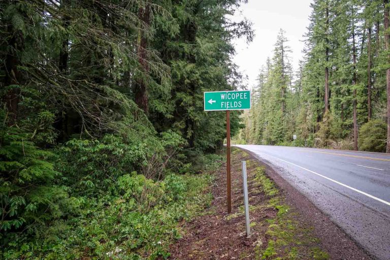 McCredie Hot Springs - How to Get There & What to Expect - Go Wander Wild