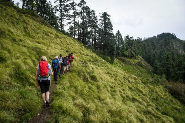 The 7 principles of Leave No Trace (& why you should care!) - Go Wander ...
