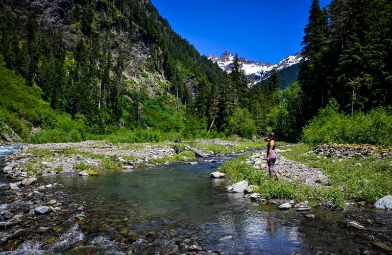Enchanted Valley Trail Guide: One of the best hikes in the Olympic ...