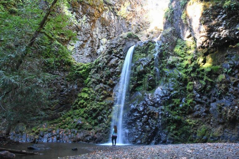18 Incredible Oregon Waterfalls to Chase - Go Wander Wild
