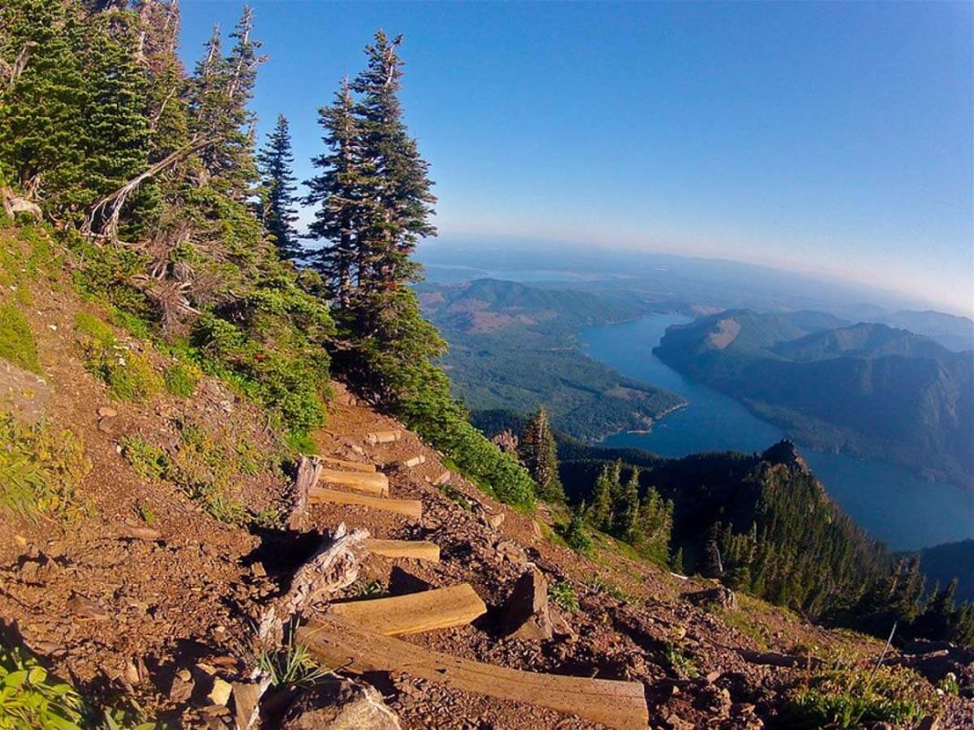 20 Best Hikes In Olympic National Park Go Wander Wild