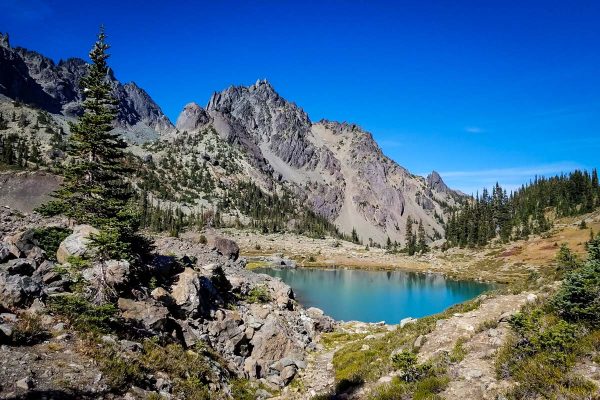 20 Best Hikes in Olympic National Park - Go Wander Wild