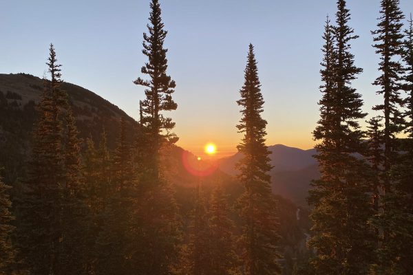 20 Best Hikes in Olympic National Park - Go Wander Wild