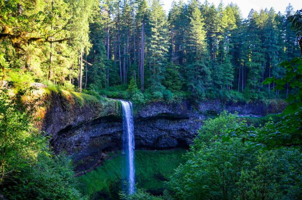 18 Incredible Oregon Waterfalls to Chase - Go Wander Wild