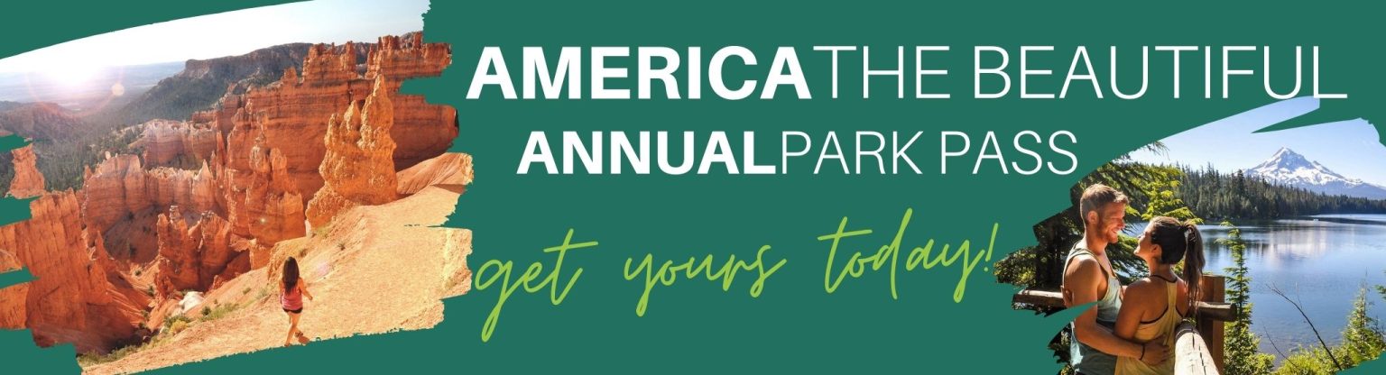 Hurricane Ridge: Hiking and Views in Olympic National Park - Go Wander Wild