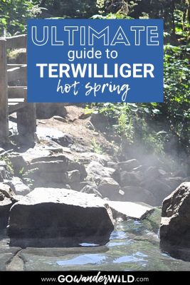 Terwilliger (Cougar) Hot Springs: Directions + Tips - Go Wander Wild