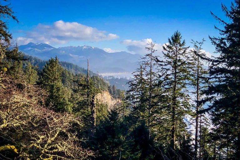 50 Best Hikes in Oregon (for every ability level!) - Go Wander Wild