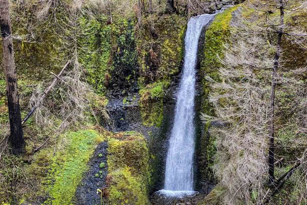 45 Best Hikes in Oregon - Go Wander Wild