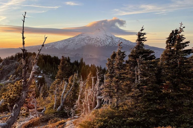 50 Best Hikes in Oregon (for every ability level!) - Go Wander Wild