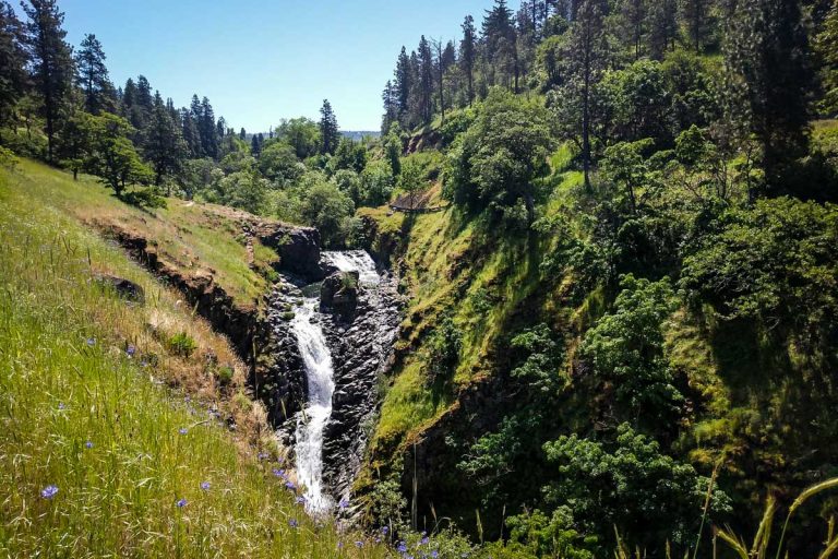 20+ Incredible Oregon Waterfall Hikes - Go Wander Wild