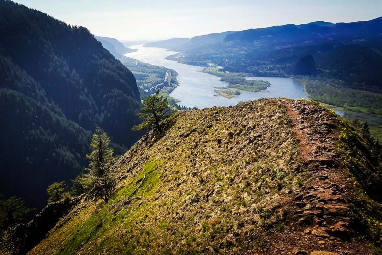 50 Best Hikes in Oregon (for every ability level!) - Go Wander Wild
