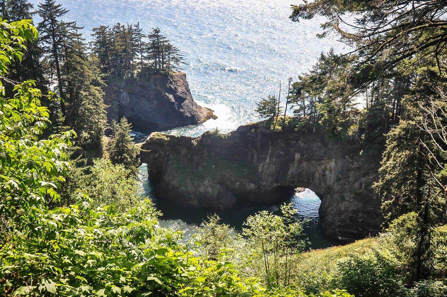 50 Best Hikes in Oregon (for every ability level!) - Go Wander Wild