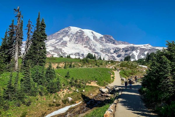 21 Best Hikes in Mount Rainier National Park - Go Wander Wild