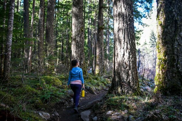 Tamolitch Falls Blue Pool Oregon: Ultimate Guide - Go Wander Wild