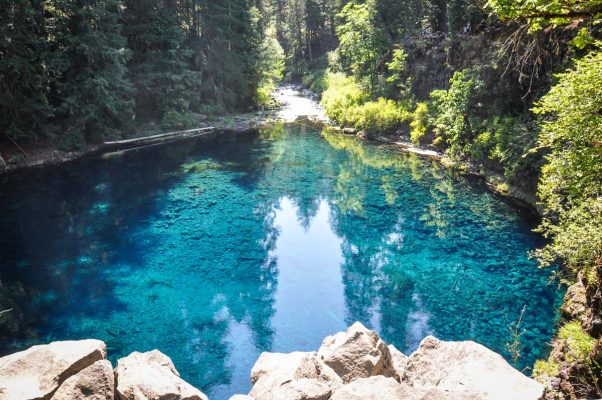 Tamolitch Falls Blue Pool Oregon: Ultimate Guide - Go Wander Wild