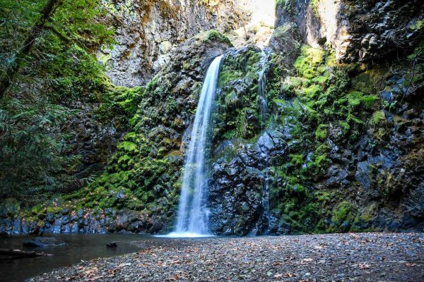 18 Incredible Oregon Waterfalls to Chase - Go Wander Wild