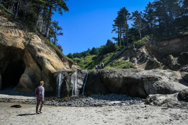 20+ Incredible Oregon Waterfall Hikes - Go Wander Wild