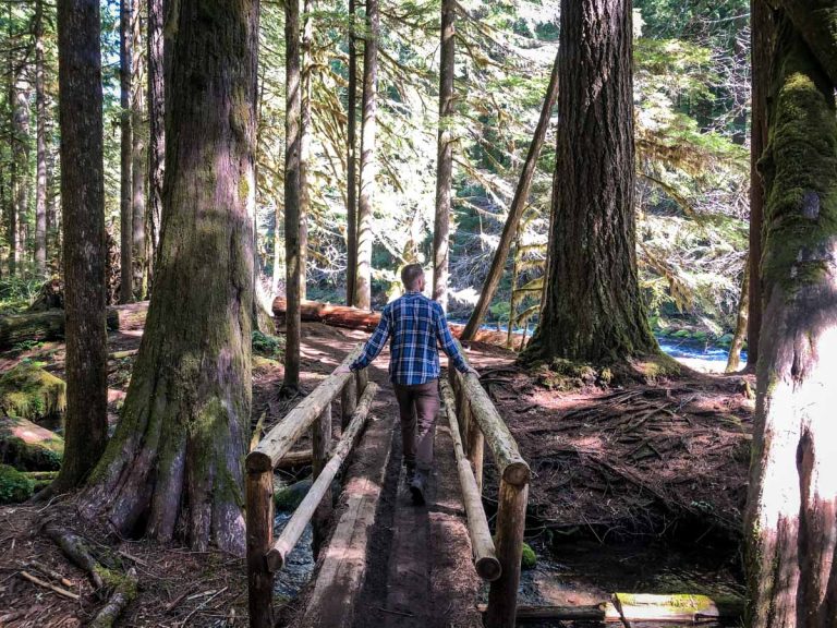 Tamolitch Falls Blue Pool Oregon: Ultimate Guide - Go Wander Wild