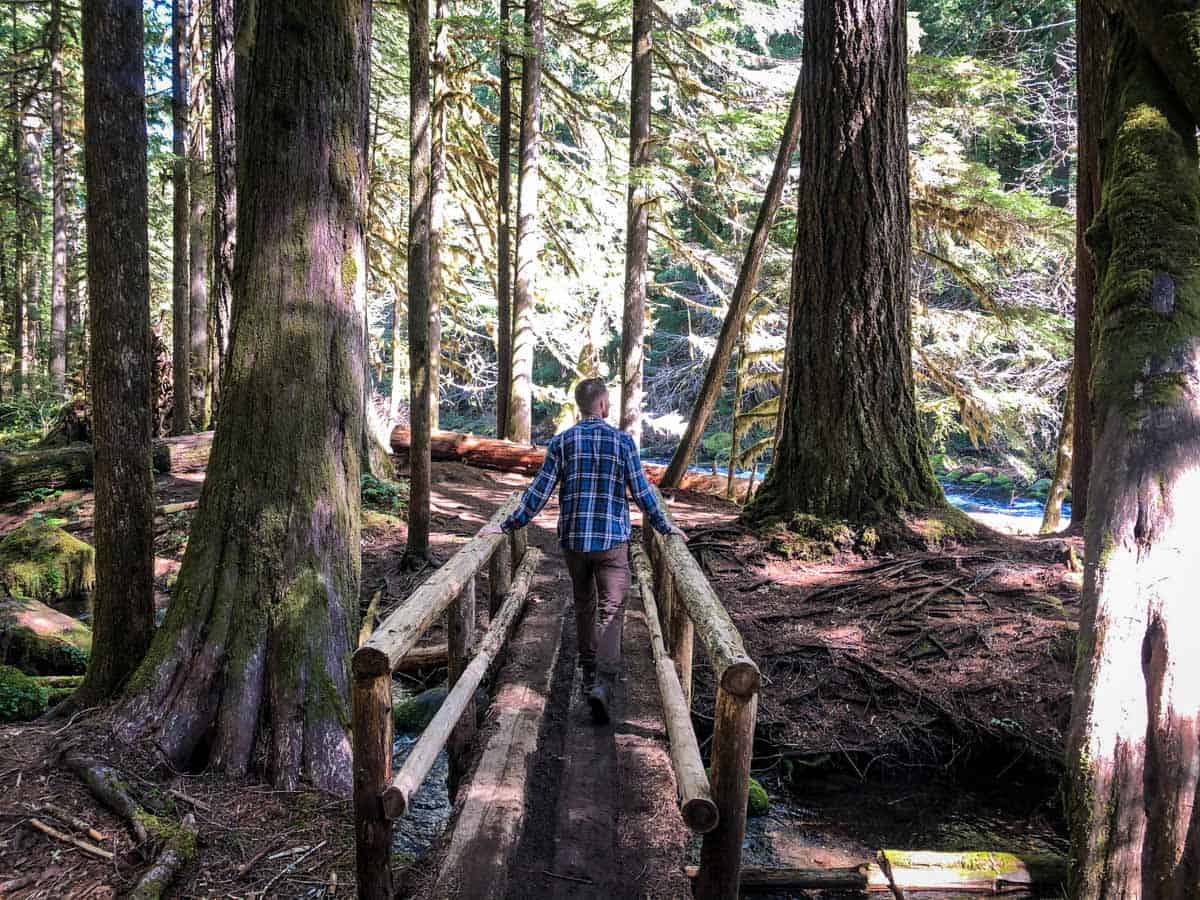 Tamolitch Falls Blue Pool Oregon: Ultimate Guide - Go Wander Wild