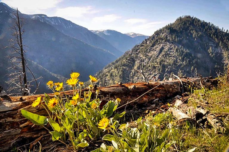 Icicle Ridge Trail Guide - Go Wander Wild