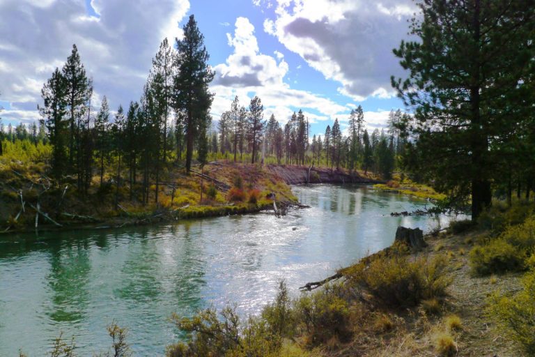 Bend Oregon Camping: 15 Best Campsites - Go Wander Wild