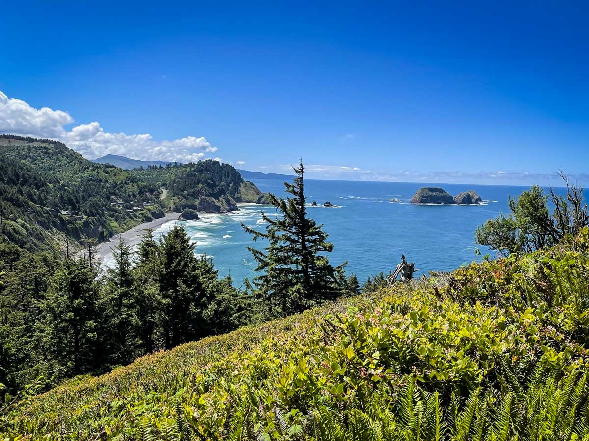 21 Fun Oregon Coast Hikes for Nature Lovers - Go Wander Wild