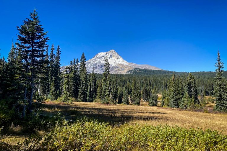 17 Bucket List Worthy Mount Hood Hikes - Go Wander Wild