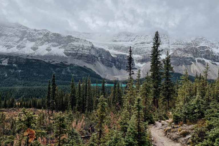 17 Best Hikes in Banff National Park, Canada - Go Wander Wild