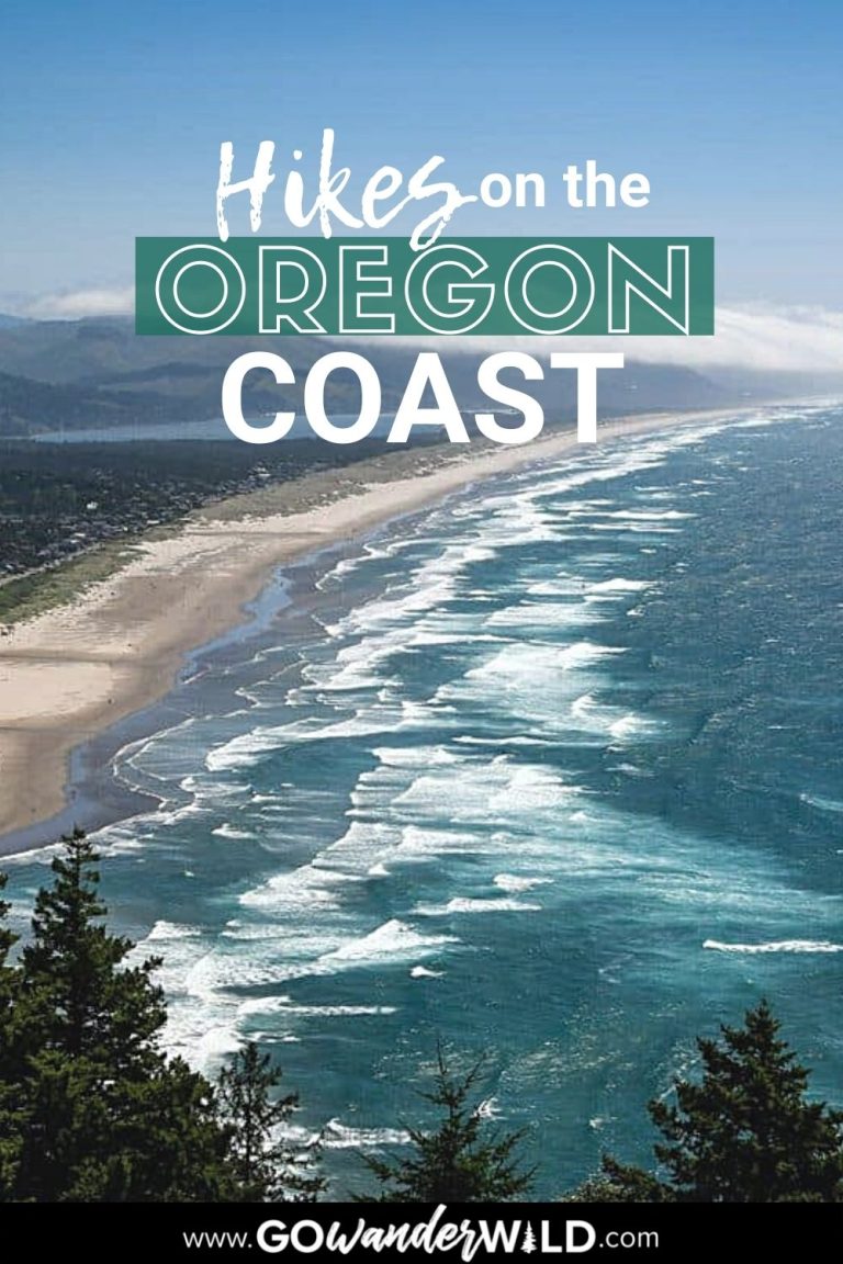 21 Fun Oregon Coast Hikes for Nature Lovers - Go Wander Wild