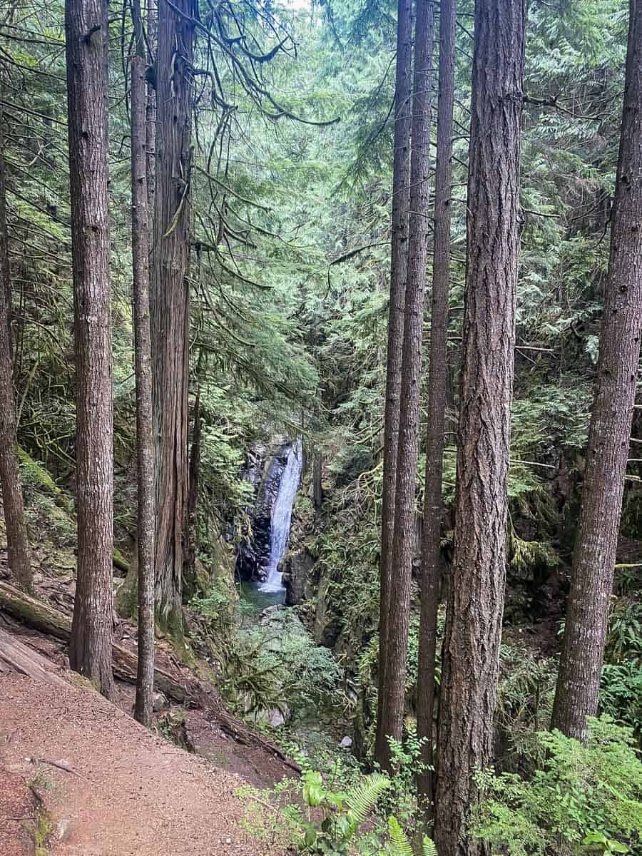 21 Fun Vancouver Hikes to Get You Outdoors - Go Wander Wild