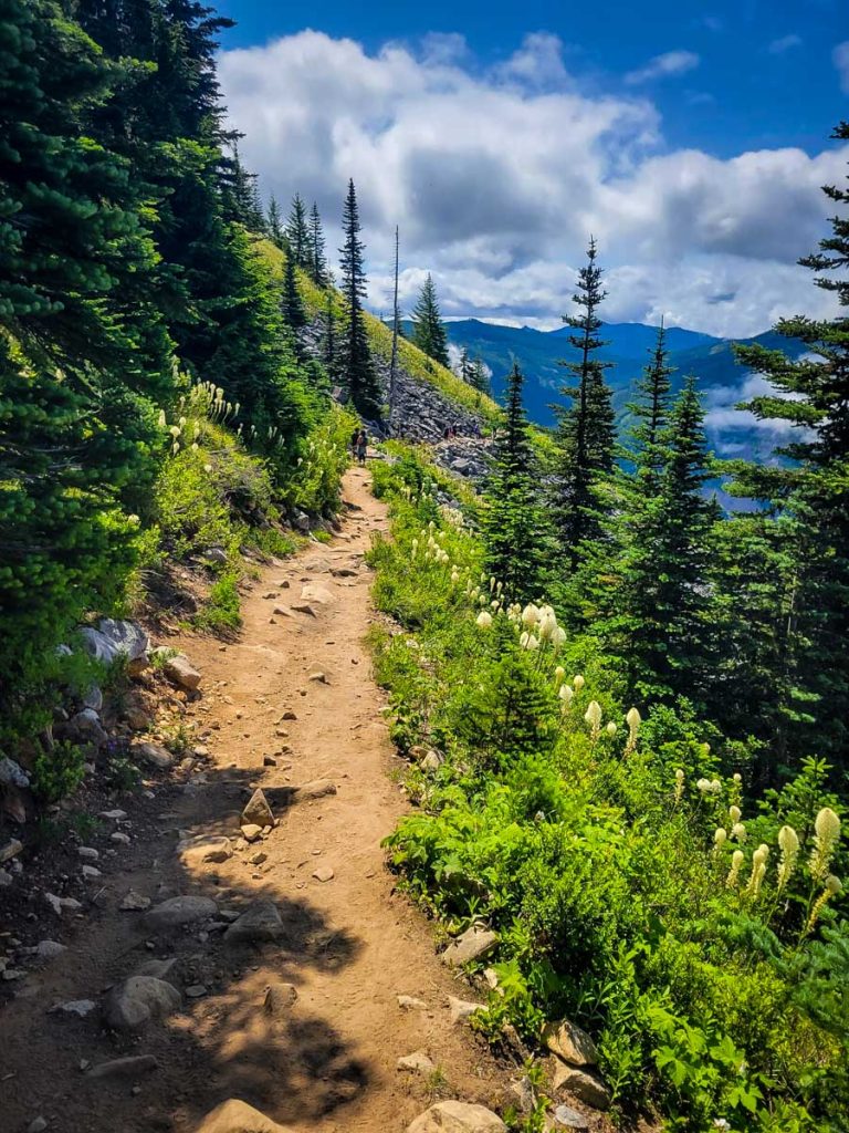 20 Exciting Day Hikes Near Seattle - Go Wander Wild