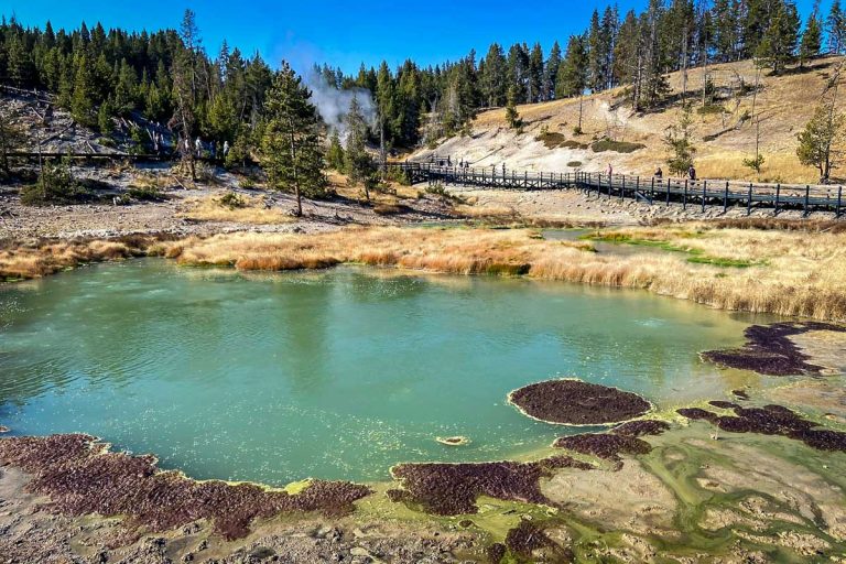 17 Best Hikes in Yellowstone National Park - Go Wander Wild