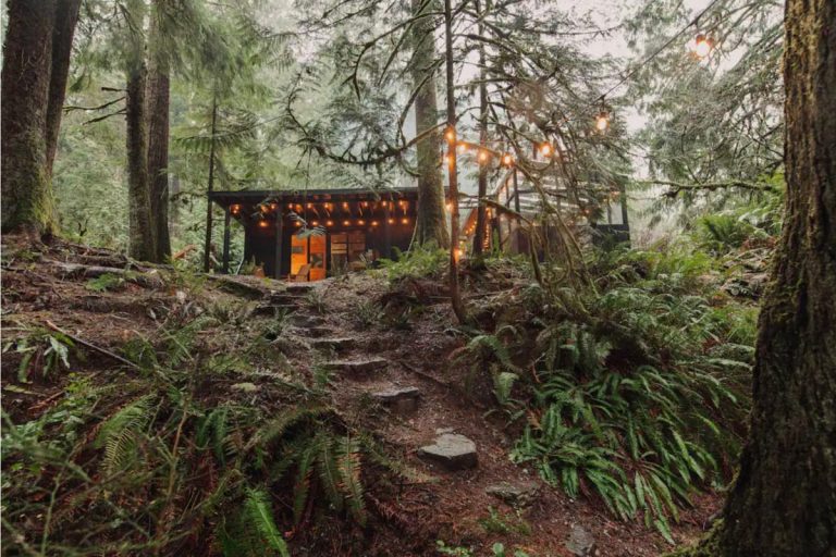 20 Cozy Cabins in Washington State You Can Rent - Go Wander Wild