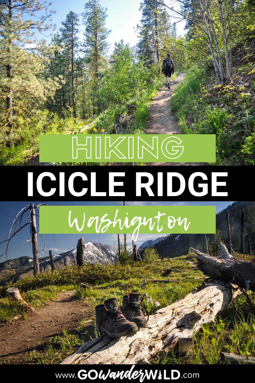 Icicle Ridge Trail Guide - Go Wander Wild