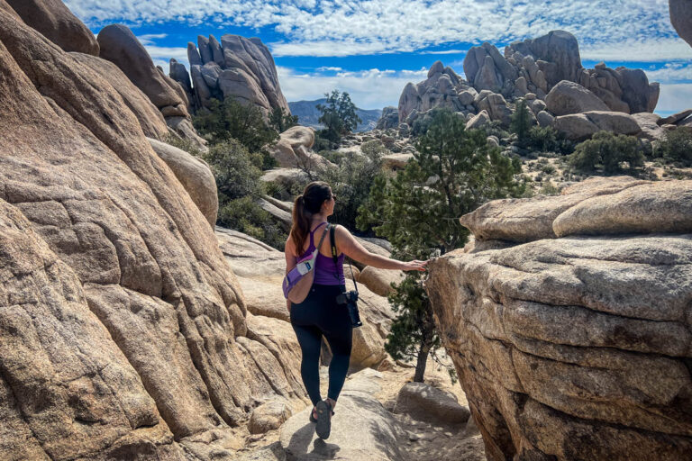 15 Best Hikes at Joshua Tree National Park, California - Go Wander Wild