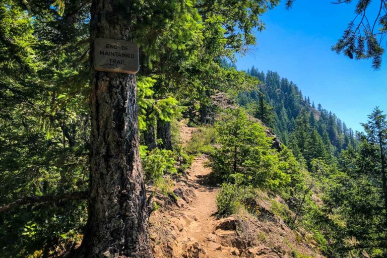 Mount Storm King Trail Guide for Olympic National Park - Go Wander Wild