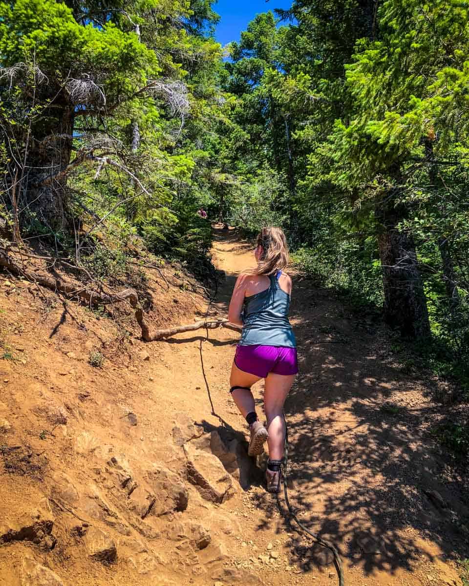 Mount Storm King Trail Guide for Olympic National Park - Go Wander Wild