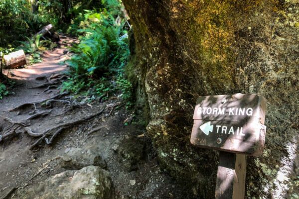 Mount Storm King Trail Guide for Olympic National Park - Go Wander Wild