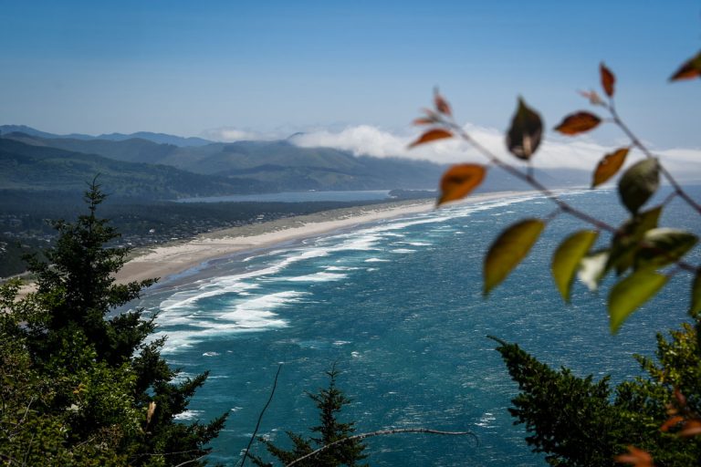 Oswald West State Park Oregon: Guide + Hikes - Go Wander Wild