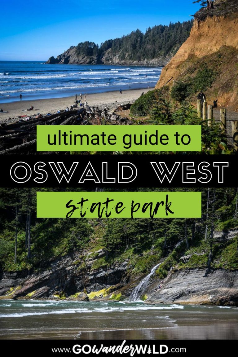 Oswald West State Park Oregon: Guide + Hikes - Go Wander Wild