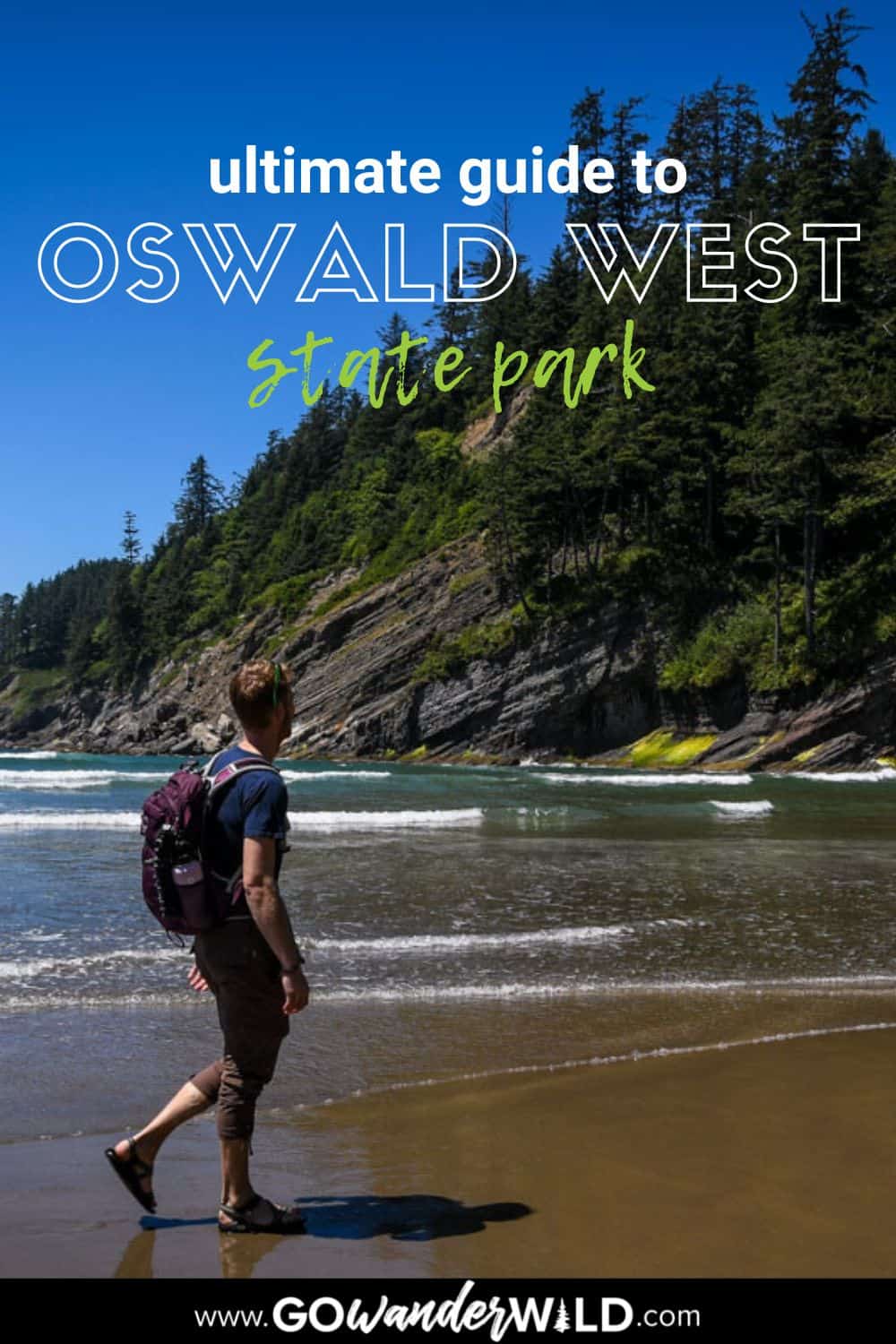 Oswald West State Park Oregon: Guide + Hikes - Go Wander Wild