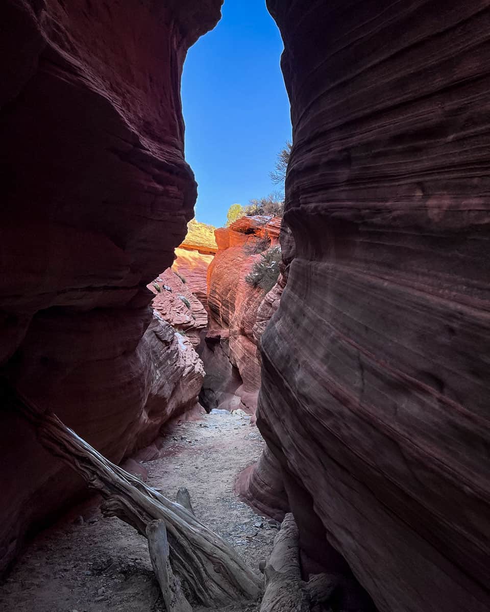 25 Best Hikes in Utah - Go Wander Wild