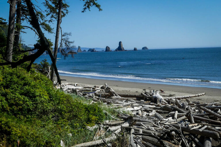 12 Best Olympic National Park Beaches to Explore - Go Wander Wild