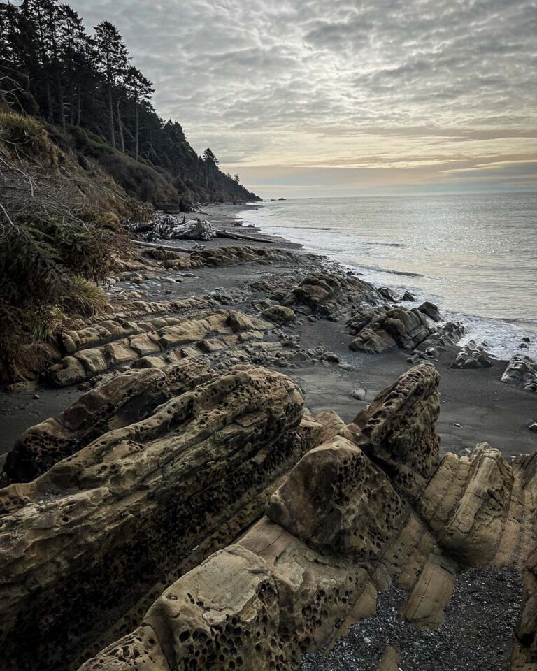 12 Best Olympic National Park Beaches to Explore - Go Wander Wild