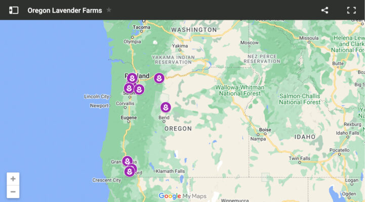 10 Breathtaking Oregon Lavender Farms You Can Visit - Go Wander Wild