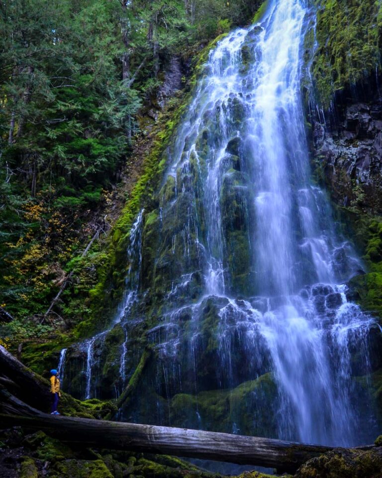 Proxy Falls Oregon Trail Guide - Go Wander Wild