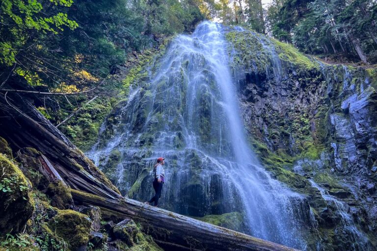 Proxy Falls Oregon Trail Guide - Go Wander Wild