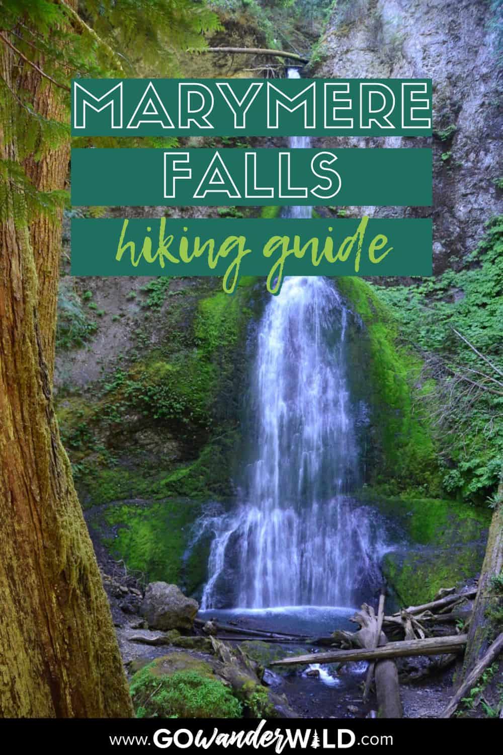 Marymere Falls Trail Guide for Olympic National Park - Go Wander Wild