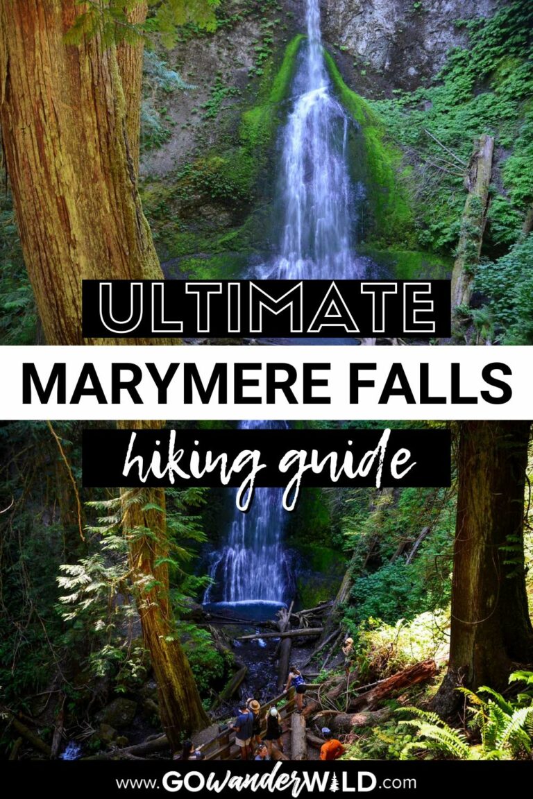Marymere Falls Trail Guide for Olympic National Park - Go Wander Wild